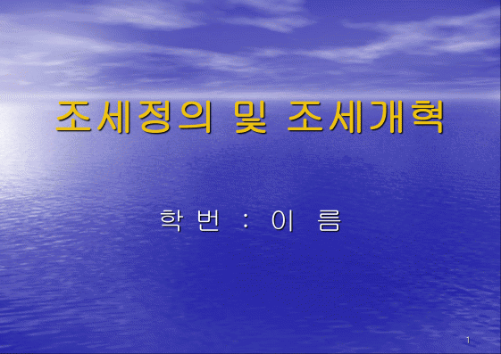 조세정의 및 조세개혁