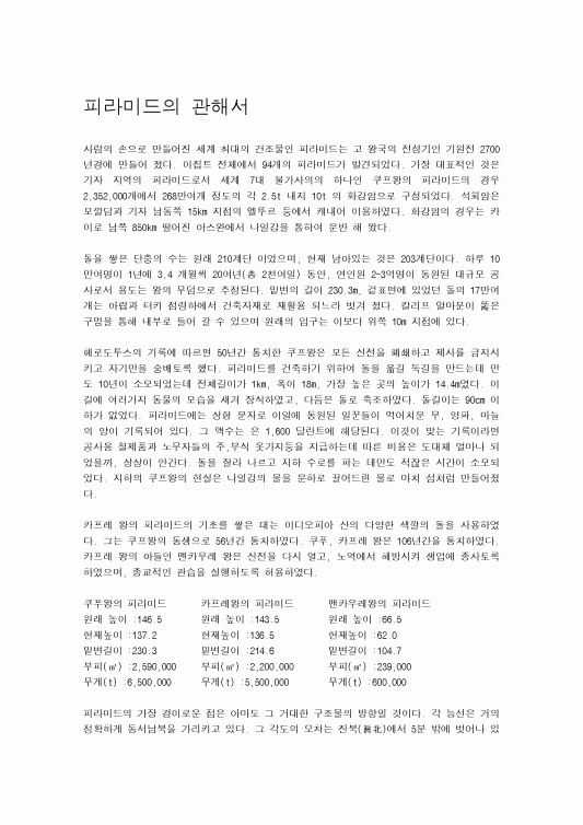 피라미드 레포트 자료
