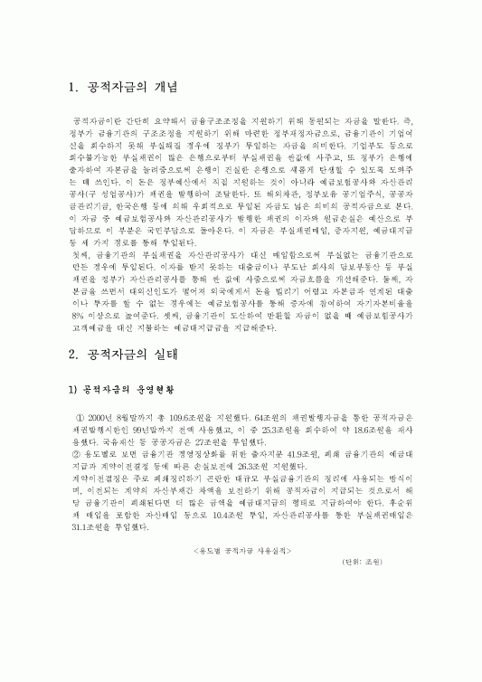공적자금 레포트 자료