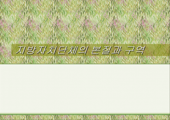 지방자치단체의 본질과 구역(파워포인트)