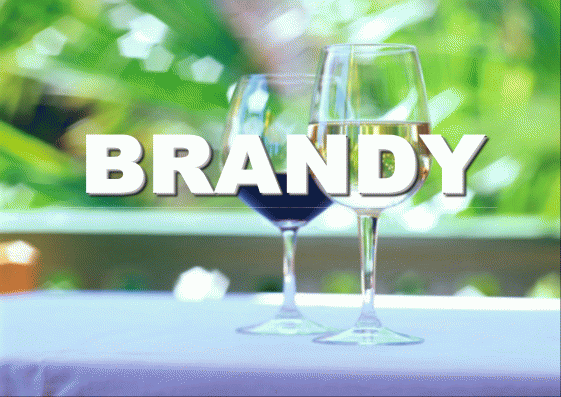 브랜디의 역사 종류 및 표기법