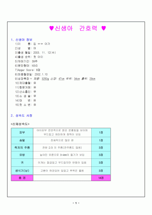 신생아 간호력