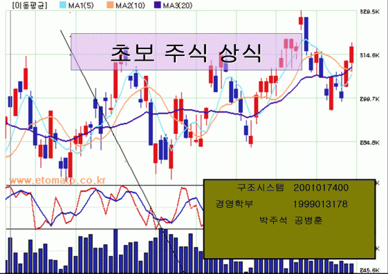 주식상식 레포트 자료