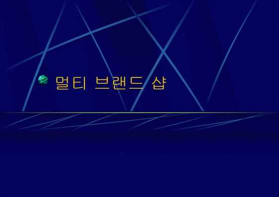 멀티 브랜드 샵