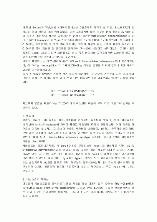 제한효소의 특성과 그 이해
