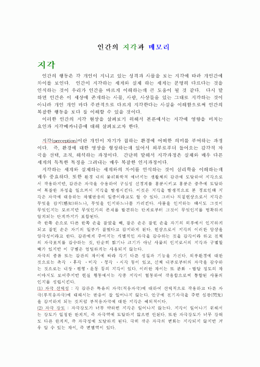 인간의 지각과 메모리