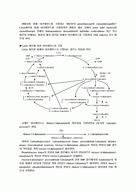 TCA캘빈회로에 대하여