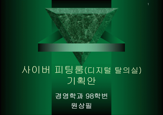사업 기획안-사이버 피팅룸(디지털 탈의실)