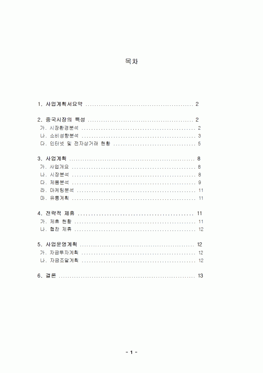 사업계획서 -중국-