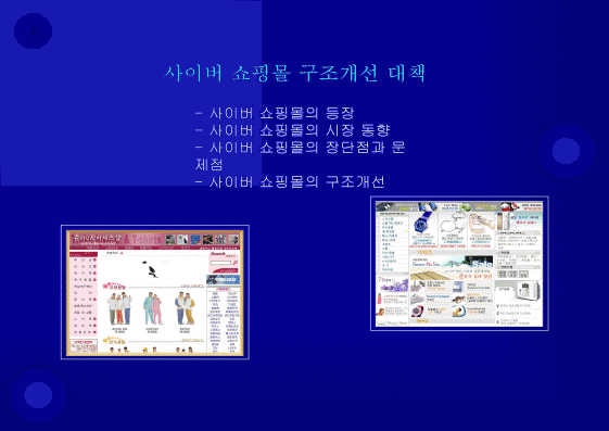 사이버 쇼핑몰 구조개선 대책