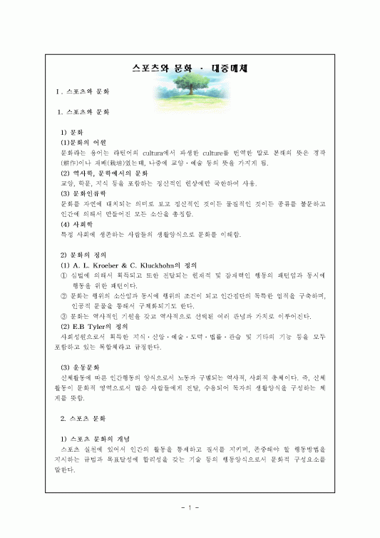 [인문과학] 스포츠와 문화와 대중매체