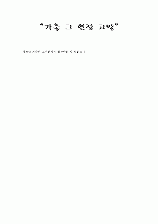 청소년 가출의 요인분석과 현장방문 및 설문조사