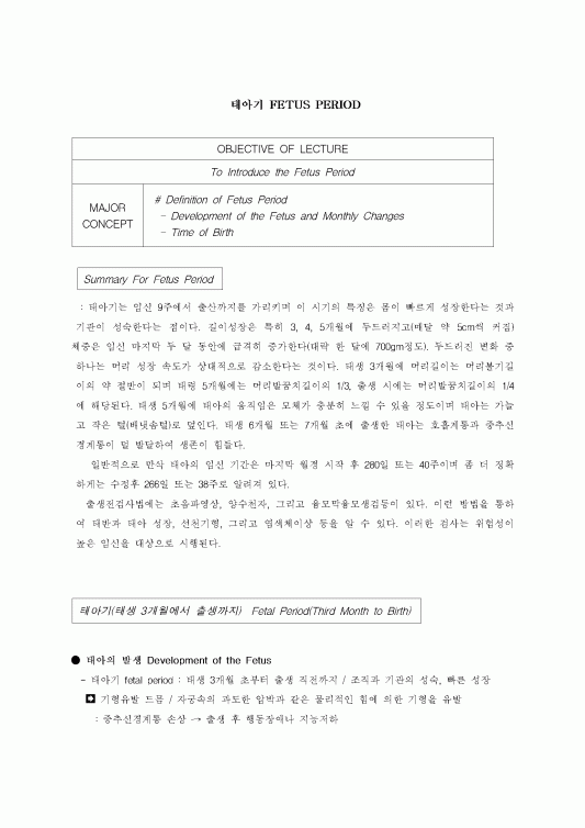 태아기의 특징과 그 이해