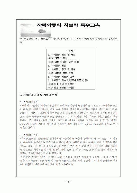 자폐증과 특수교육에 대한 고찰