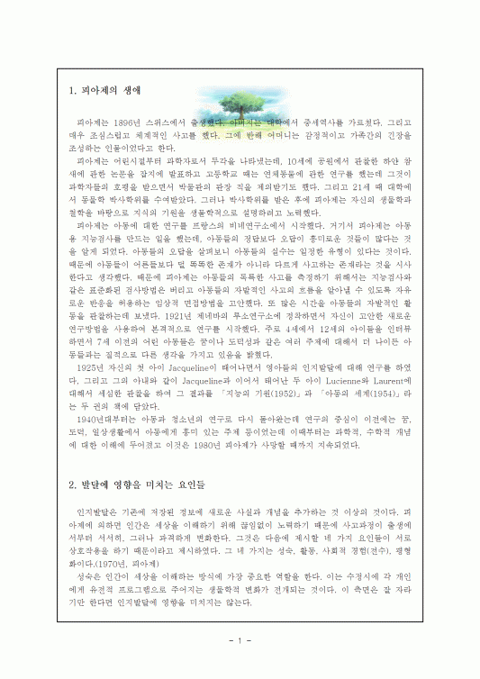 피아제 이론 레포트 자료