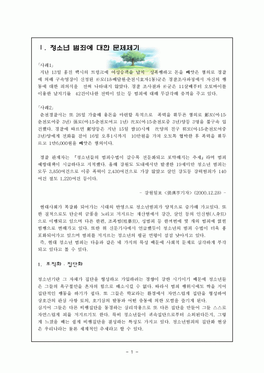 [인문과학] 청소년 범죄의 원인과 대책에 관한 연구
