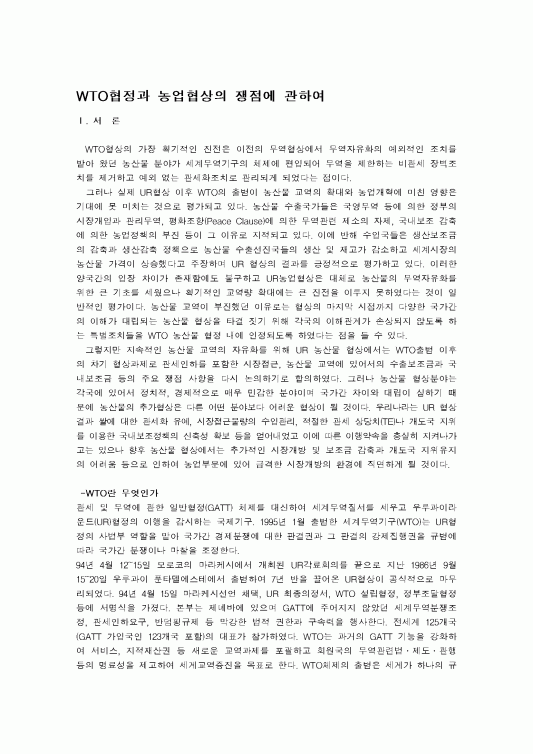 WTO협정과 농업협상의 쟁점에 관하여