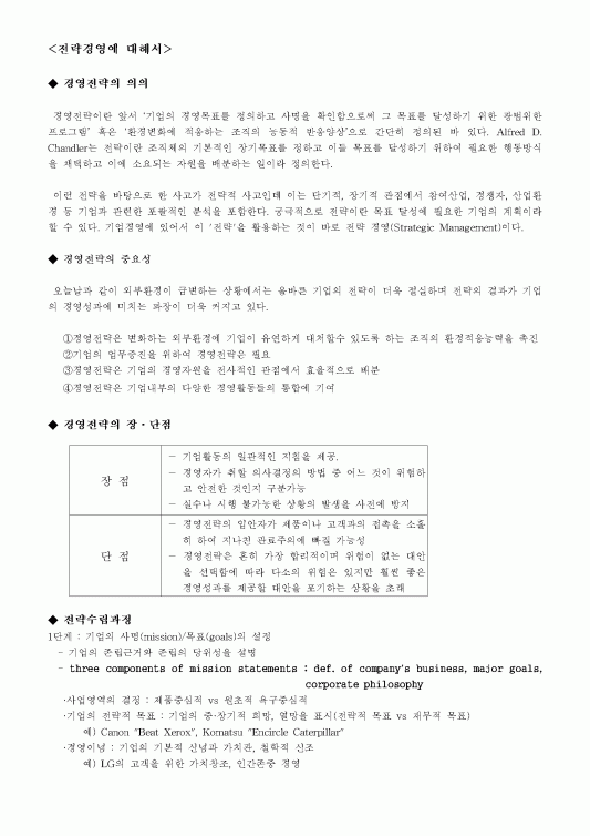 전략경영에대해서