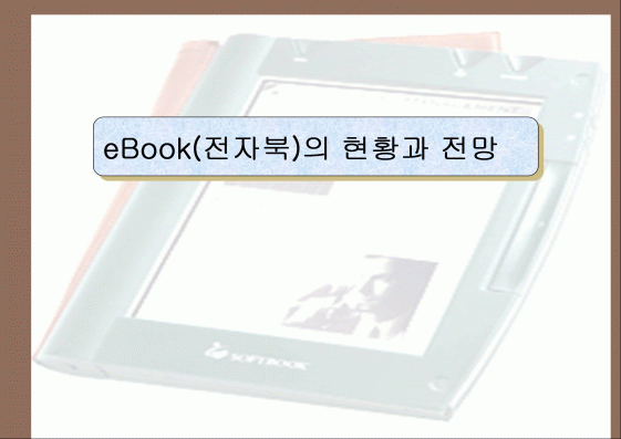 eBook의 현황과 전망
