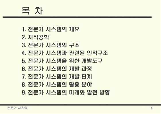 Expertsystem 레포트 자료