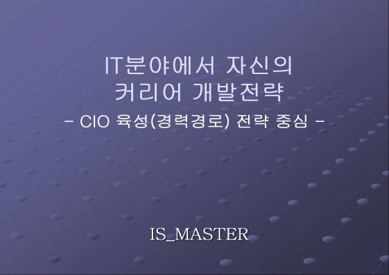 IT분야에서 자신의커리어 개발전략- CIO 육성(경력경로) 전략 중심 -