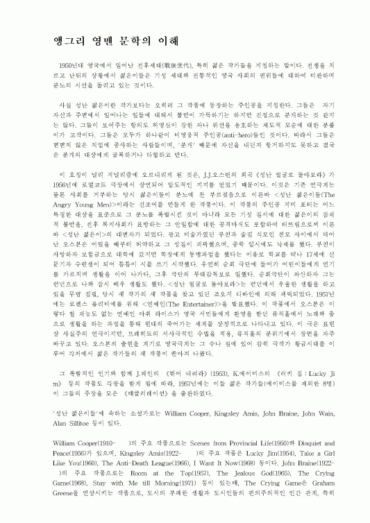 앵그리 영맨의 문학의 이해