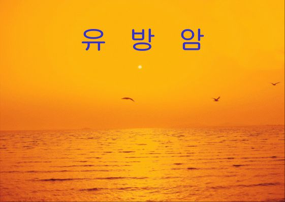 유방암의 증상과 진단, 치료 그리고 예방에 관한 이해