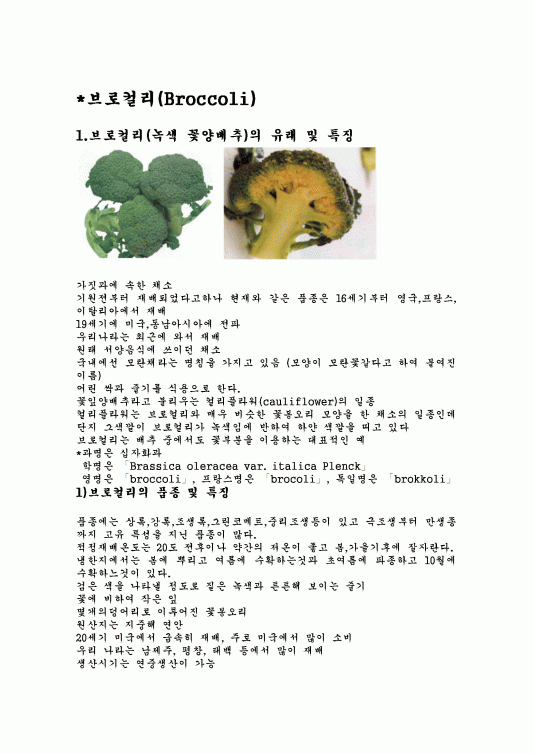 브로컬리 레포트 자료
