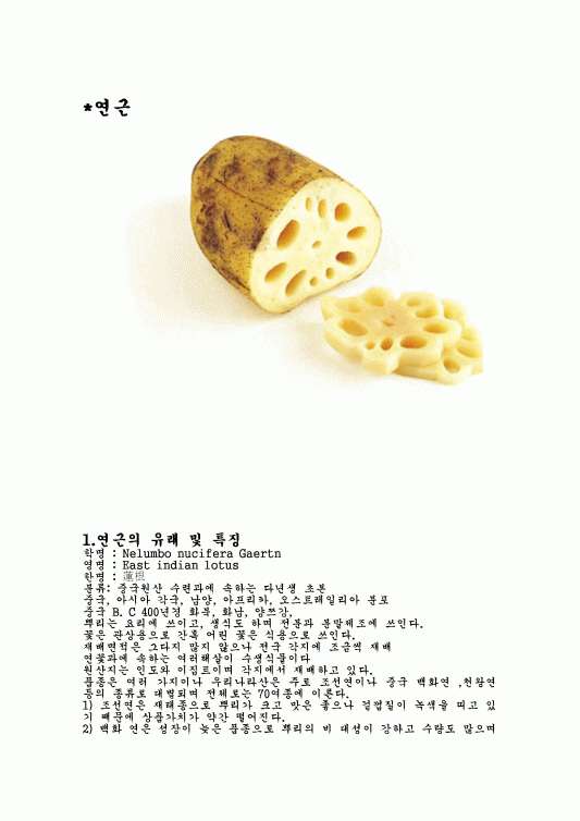 연근에 관한 요약 정리