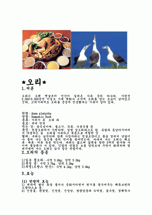 오리(오리고기) 요약 정리