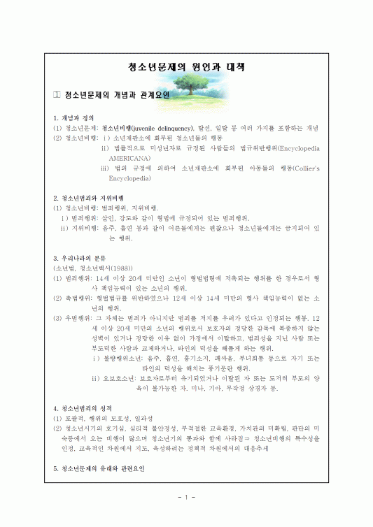청소년문제의 원인과 대책