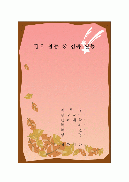 경호 활동 중 검측 활동