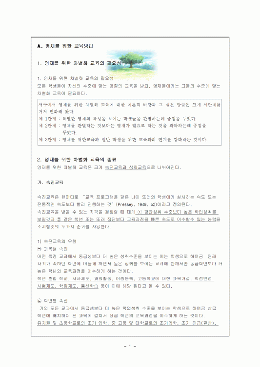 영재를 위한 교육방법과 영재 교수 학습 방법론
