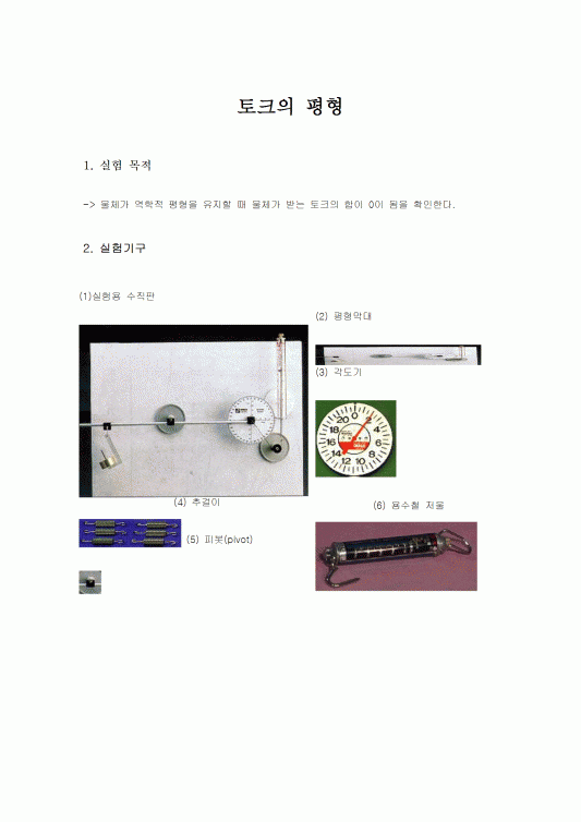 토크의 평형 레포트 자료