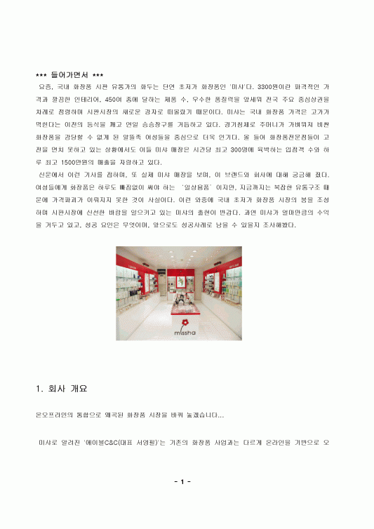 미샤의 성공요인과 향후전망