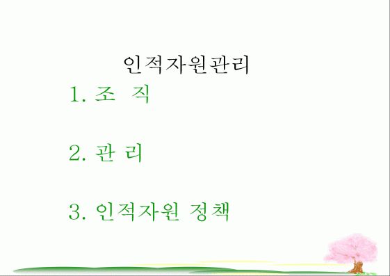 인적자원관리 인적 자원 정책