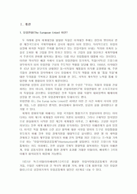 유럽연합(EU) 레포트 자료