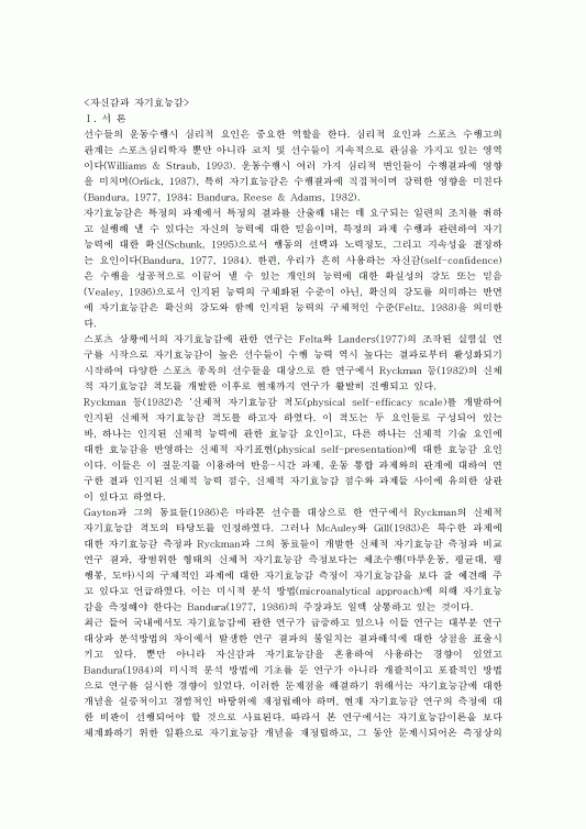 자신감과 자기효능감