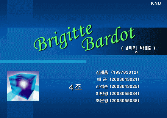 브리짓 바르도의 패션