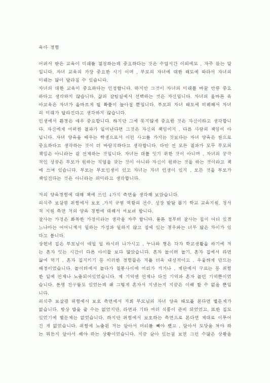 육아 경험 레포트 자료