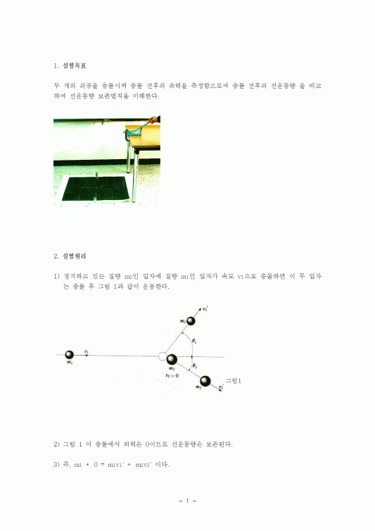 [자연과학] 탄성충돌에 의한 선운동량 측정