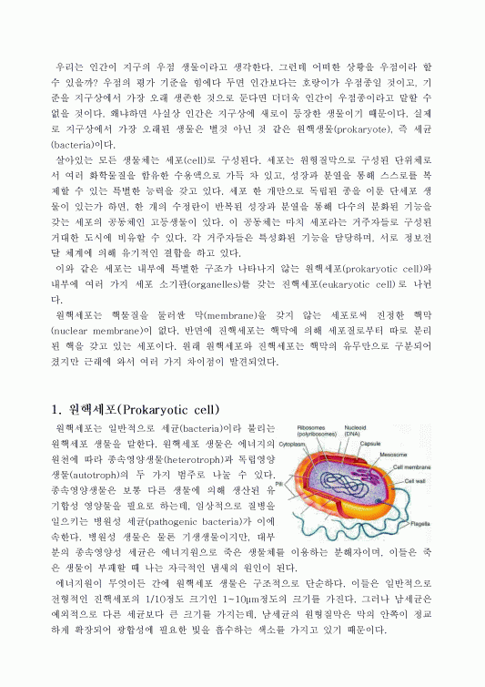 원핵세포와 진핵세포의 비교