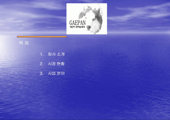 애견 창업 레포트 자료