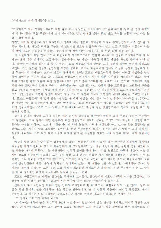 까라마조프씨네 형제들 독후감