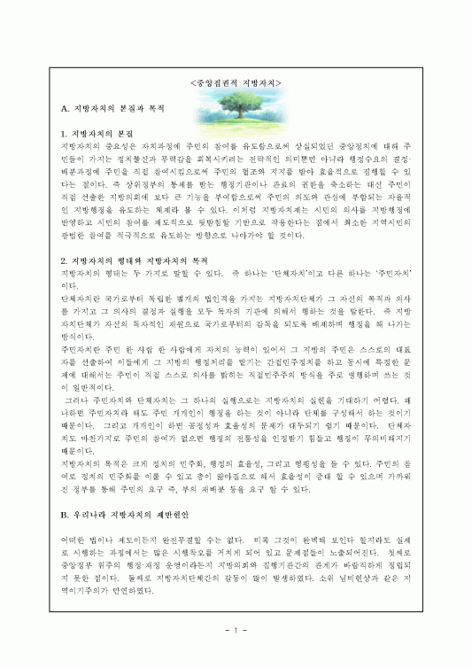 중앙집관적 지방자치 - 지방자치의 현안과 한국지방자치의 발전방안