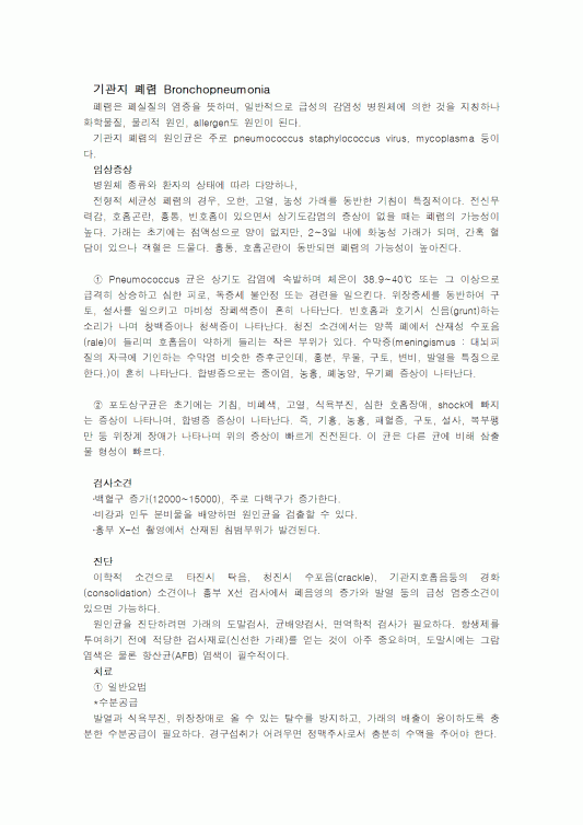 기관지폐렴 환아의 간호사례연구