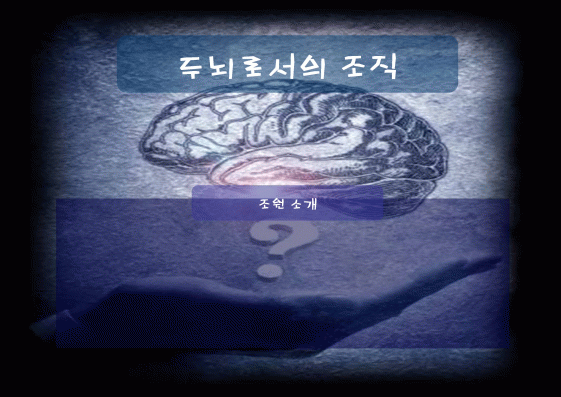 두뇌 조직에 대한 이해 및 장단점 분석, 그리고 사이버네틱스와 이중순환학습의 조직 실례