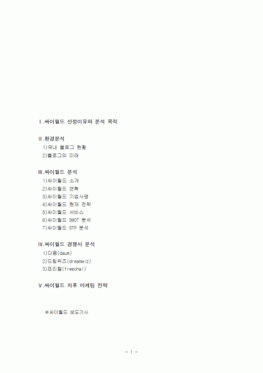 싸이월드 성공사례
