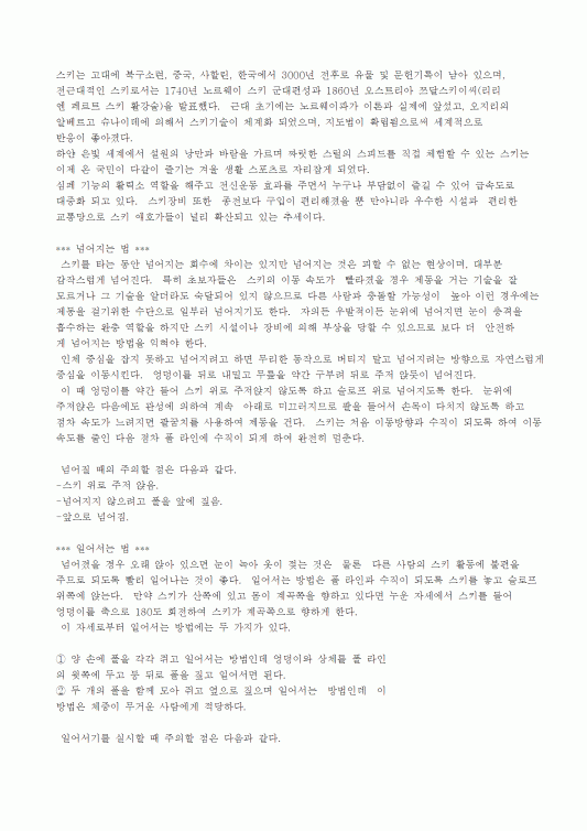 스키에 대하여
