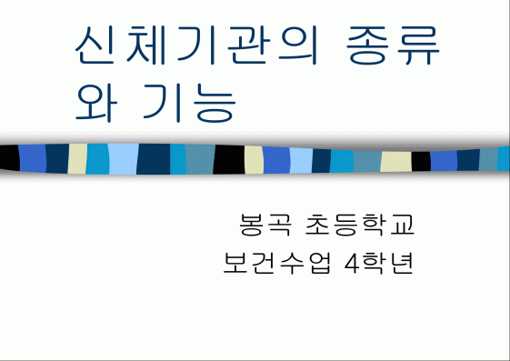 보건교사 수업실습자료-근골격계, 신경계